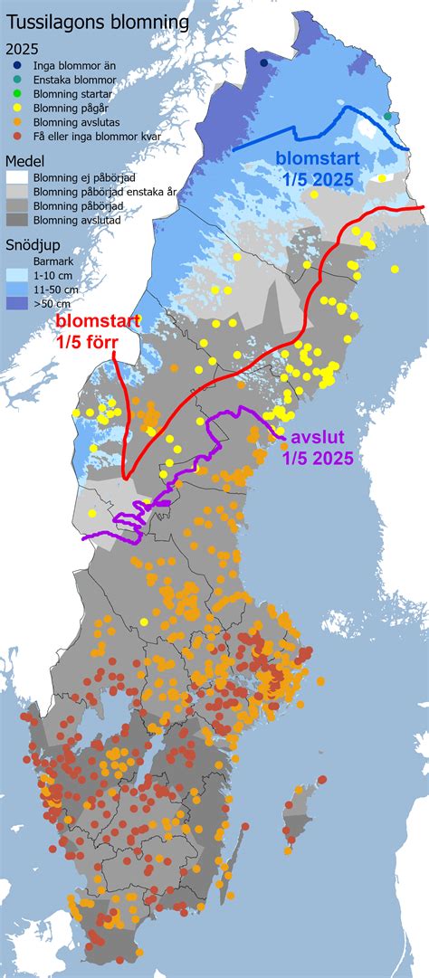 Vårkollen Visar Vårtecken I Hela Landet Medarbetarwebben