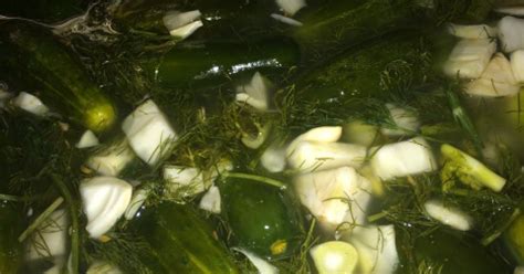 My Microbes Therefore I Am Fermentation Health And Human Identity