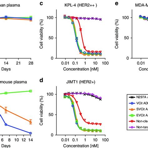 Plasma Stability And In Vitro Cytotoxicity A Stability In Human