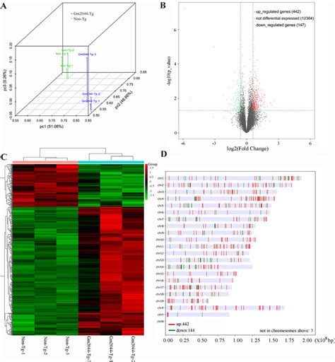 Transcriptome Sequencing For Lncrna Gm2044 Transgenic Mice A