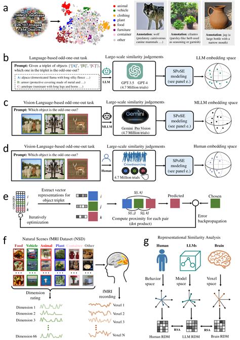 How Well Do Deep Learning Models Capture Human Concepts The Case Of The Typicality Effect AI