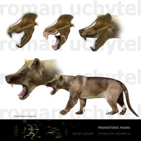 Escenarios Prehistóricos Amphicyon