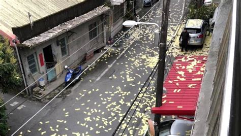 擱來亂！討債不成6度撒冥紙 居民傻眼報案