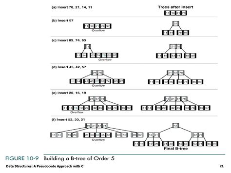 multiway trees chapter 10 objectives ppt download