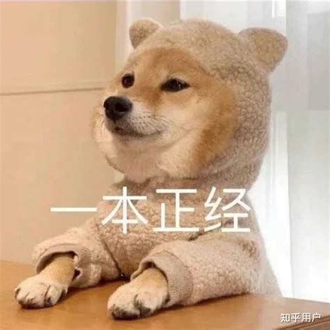 被异性搭讪要微信你们会给吗？ 知乎
