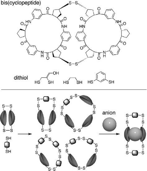 dynamic combinatorial library for anion induced synthesis of a