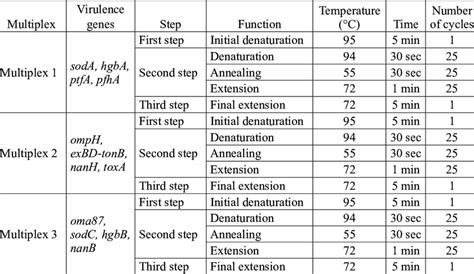 Multiplex Pcr Protocols Virulence Associated Genes And Pcr Conditions Download Table