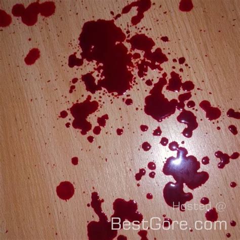 【閲覧注意】グロサイトやってるんだが、女の子が送ってきた動画が怖すぎる ポッカキットポッカキット