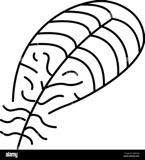 Vintage Feather Soft Fluffy Line Icon Vector Illustration Stock Vector