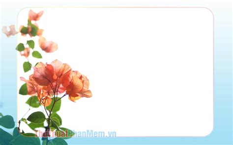 Tổng Hợp Với Hơn 83 Về Khung Hình Nền Hay Nhất Vn