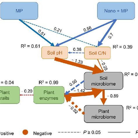 Structural Equation Model Sem Showing The Effects Of Nano Fe 3 O 4