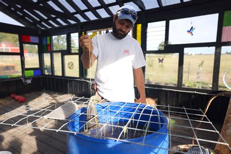 How To Make Compost Tea Roots And Refuge