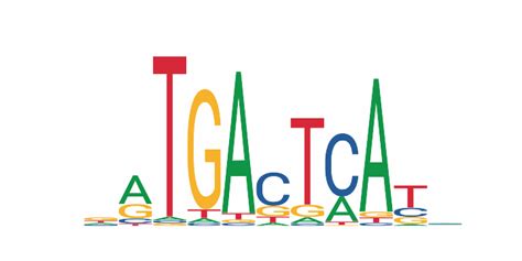 Jaspar Fosl1junb Ma11371 Profile Summary