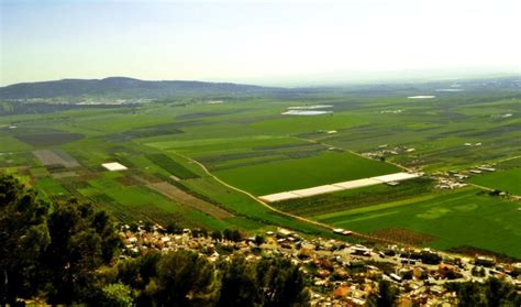 النيل قناة مصر الإخبارية 11