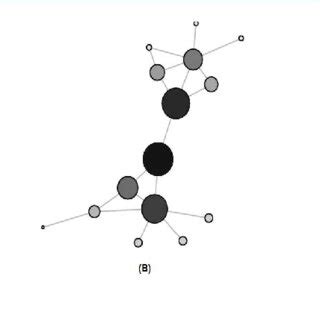 Network Centrality Measures A Degree Centrality B Closeness