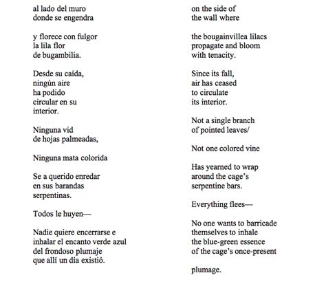 Translate Spanish Poem To English Sitedoct Org