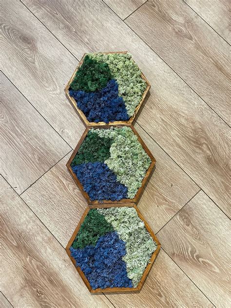 Moss Wall Art Moss Wall Decor Preserved Moss Art Framed Moss Wall Sets