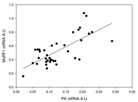 Correlation Between Murf1 And Pkm Mrna R2 050 P