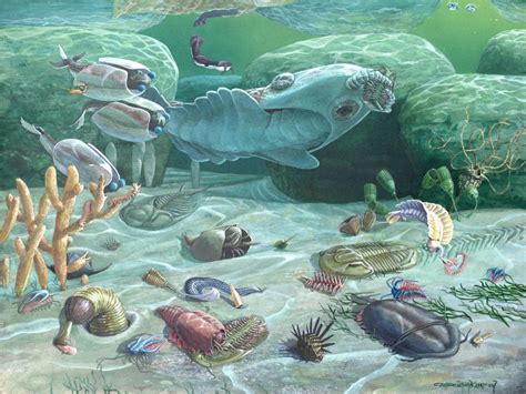 Science Visualized • Fauna Of The Cambrian Period 540 490 Mya