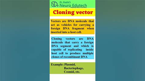 Cloning Vector क्या है Shorts Shortsvideo Youtubeshorts Science
