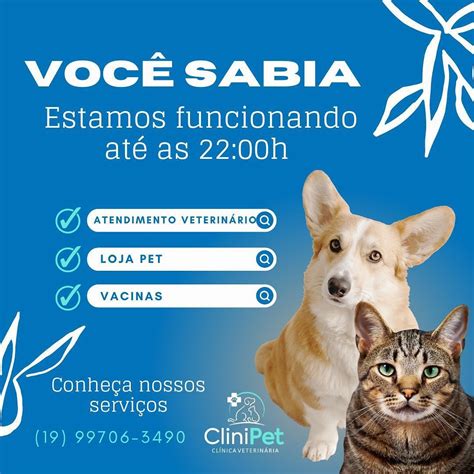 Clinipet Clínica Veterinária E Estética Pet 🐶💓 Clinipetestiva