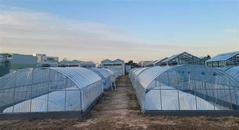 국산 온실용 필름 성능 입증수입대체 효과 405억원 기대