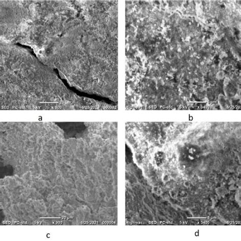 P Xrd Spectrum Of Cu Bdc Mofs And 2 Mbia Cu Bdc Mofs Before And After Download Scientific