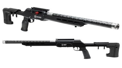 Savage A22 Precision Lite For The Fun Of Shooting