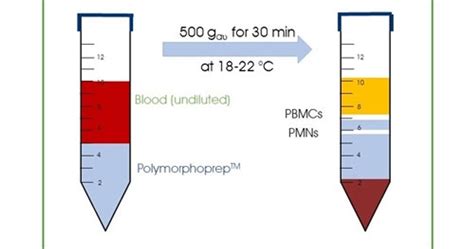 Polymorphprep™