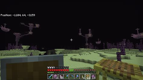 I Found 3 End Ships Within View Of Eachother 1 More City On The Other Side Almost Gives A