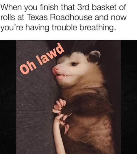 28 Hilariously Relatable Memes Featuring Cute And Trashy Possums