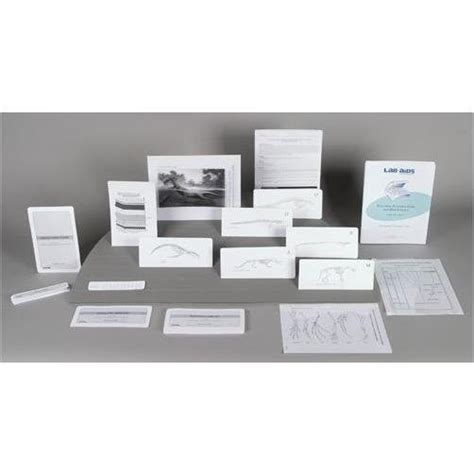 Evolution Examining Fossil And Dna Evidence Kit Lab Aids Stemfinity