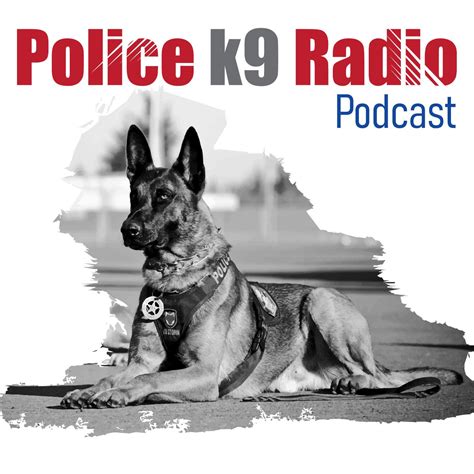 082 Lapd K9 Deployment Lessons Learned Police K9 Radio Podcast
