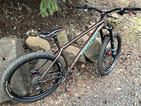 Santa Cruz Chameleon For Sale