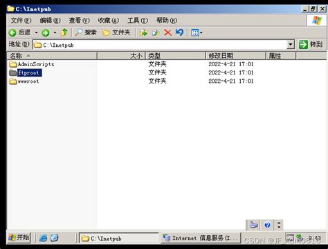 Web服务器以及ftp服务器相关介绍以及简单部署50002端口 Csdn博客