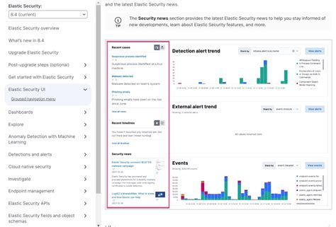 Bug External Alerts Is Displaying In Screenshots Under Overview