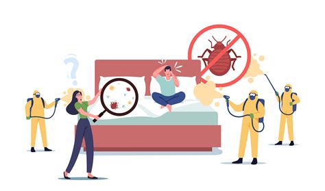 Different Ways To Prevent Bed Bugs Infestation At Home Life After Bugs