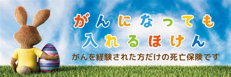 【公式】富士少額短期保険 生命保険 死亡保険 葬儀保険 医療保険 葬儀・葬式・終活の保険 がんになっても入れるほけん