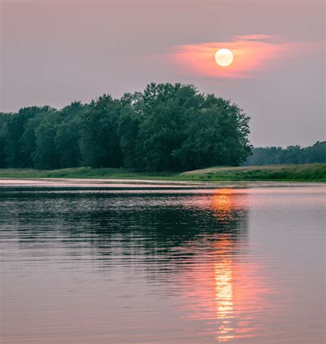 Emily Broad Leib The Salata Institute