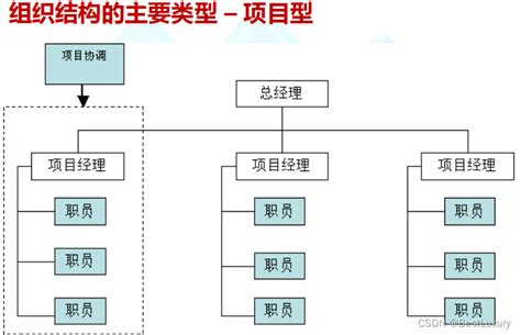 软件开发过程与项目管理 内容 程序员技术管理流程及方法 csdn博客