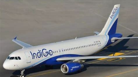Airline Took Advantage Indigo Co Flyer Shares First Hand Account Of