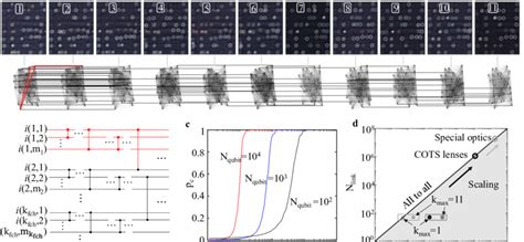 Qsoc Enables Large Scale Fully Connected Qubit Graph With Further Download Scientific Diagram