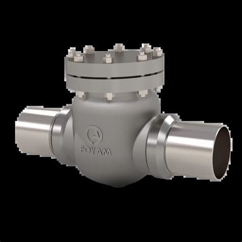 Bolted Bonnet Swing Check Valve Csi Technologies