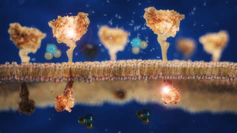 Lipid Maps Lipidomics Gateway