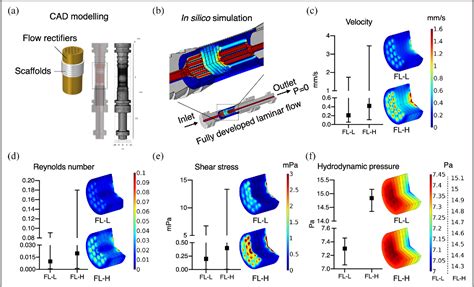 Figure 1 From Induction Of Osteogenic Differentiation Of Bone Marrow Stromal Cells On 3d