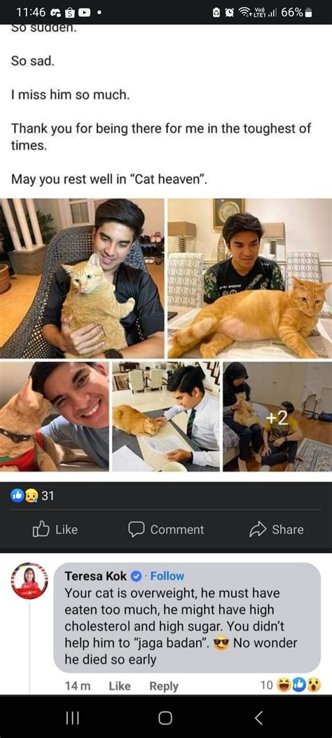 Dude What The Hell Rbolehland