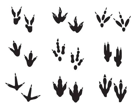 Clip Art Dinosaur Footprints Dinosaur Footprint Tracks Vector Set
