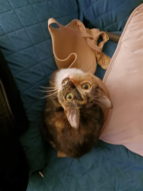 My Cup Runneth Over Rififitsisits