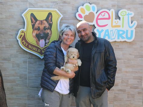 Ankaradan Gürkök Ailesi Poodle Bebekleri Mollye Kavuştu Elit Yavr