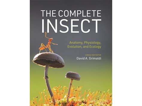 The Complete Insect Anatomy Physiology Evolution And Ecology Bookpath